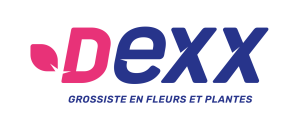 DEXX DRIVE - Euralimentaire